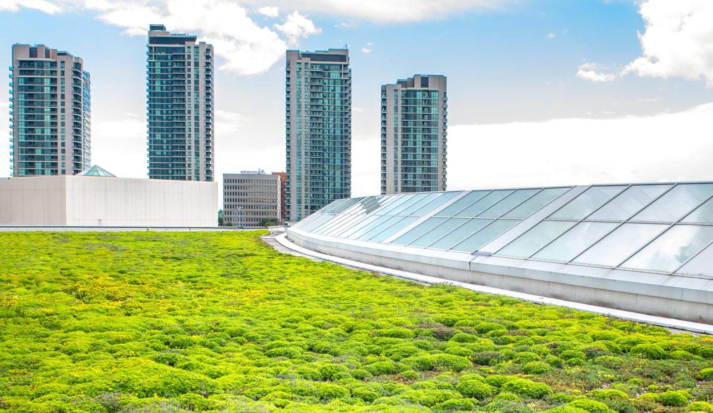 Extensive - Next Level Stormwater Management - Canada's Green Roof Supplier