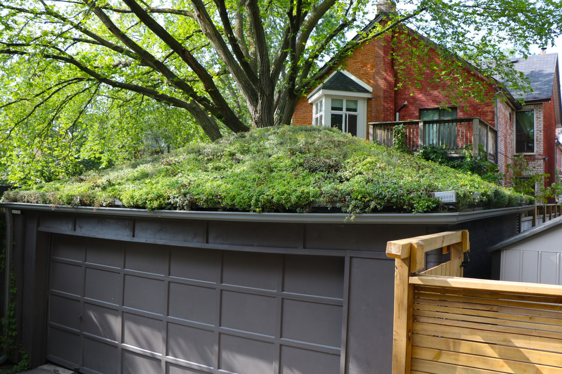 LiteN’Less™ III - Next Level Stormwater Management - Canada's Green ...