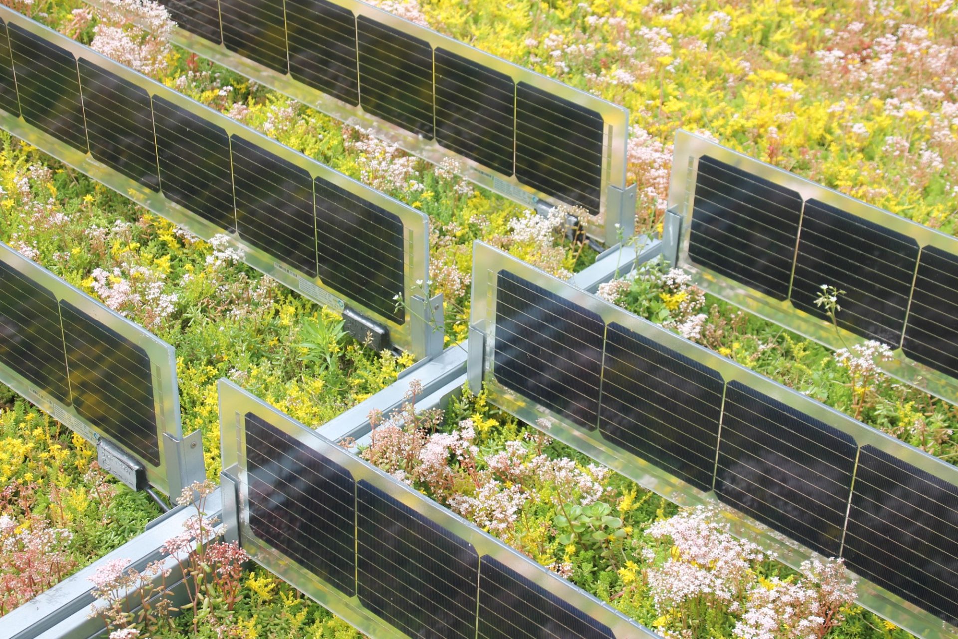 PV Integration - Next Level Stormwater Management - Canada's Green Roof ...