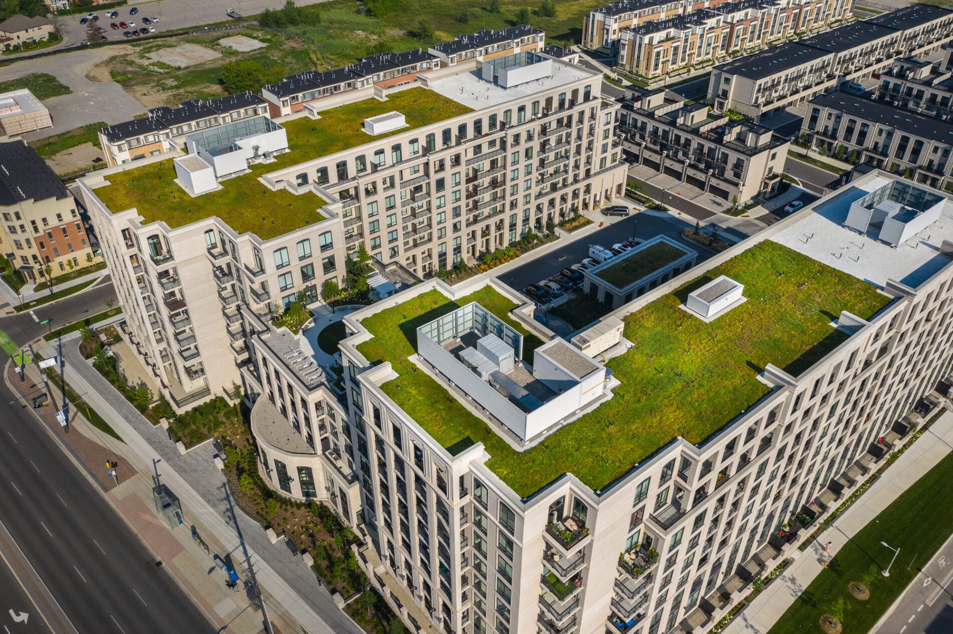 Biodiverse Roof - Next Level Stormwater Management - Canada's Green ...