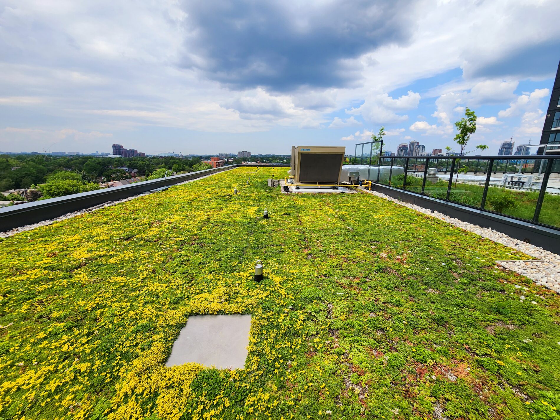 StormCap™ - Next Level Stormwater Management - Canada's Green Roof Supplier